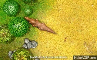 dinosystemgif – Cliqist